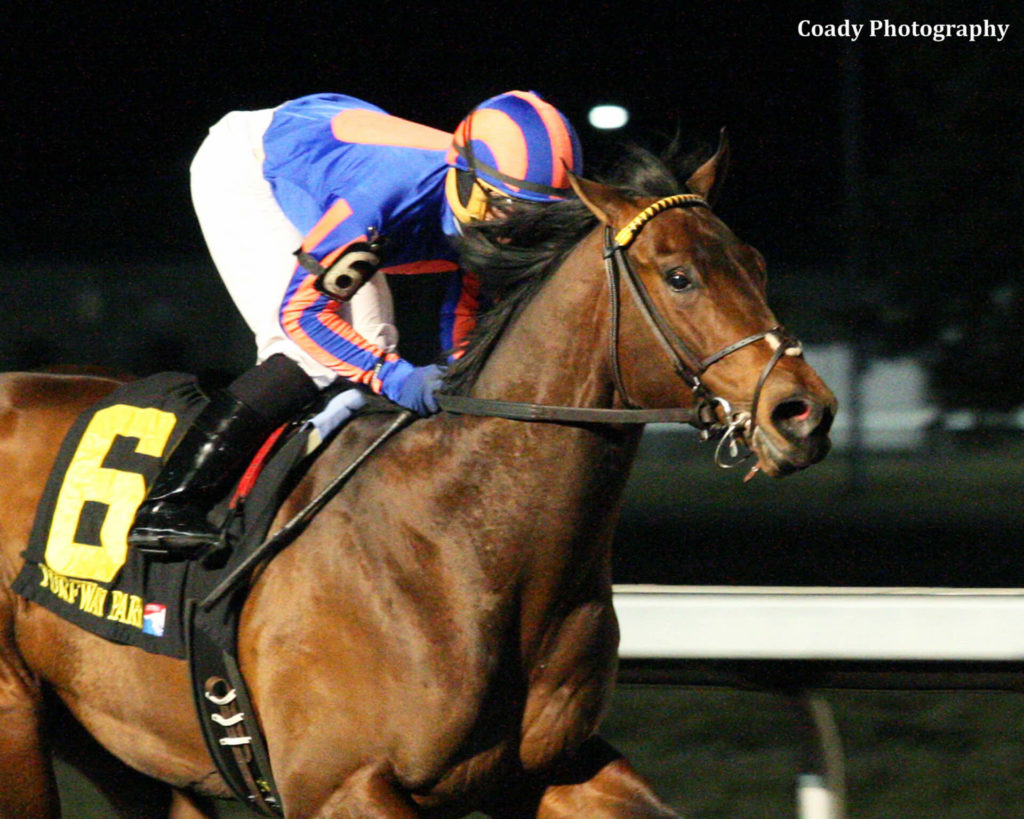 The 2019 Kentucky Derby Field | Derby Tickets, Inc